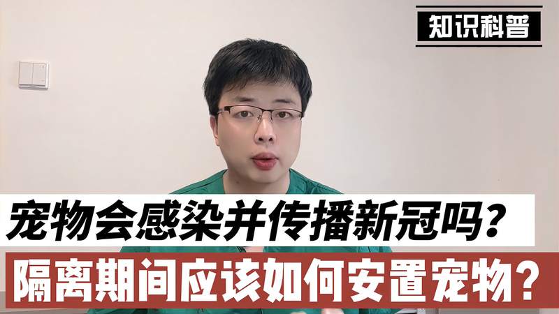 宠物会感染并传播新冠吗?隔离期间应该如何安置宠物?答案来了