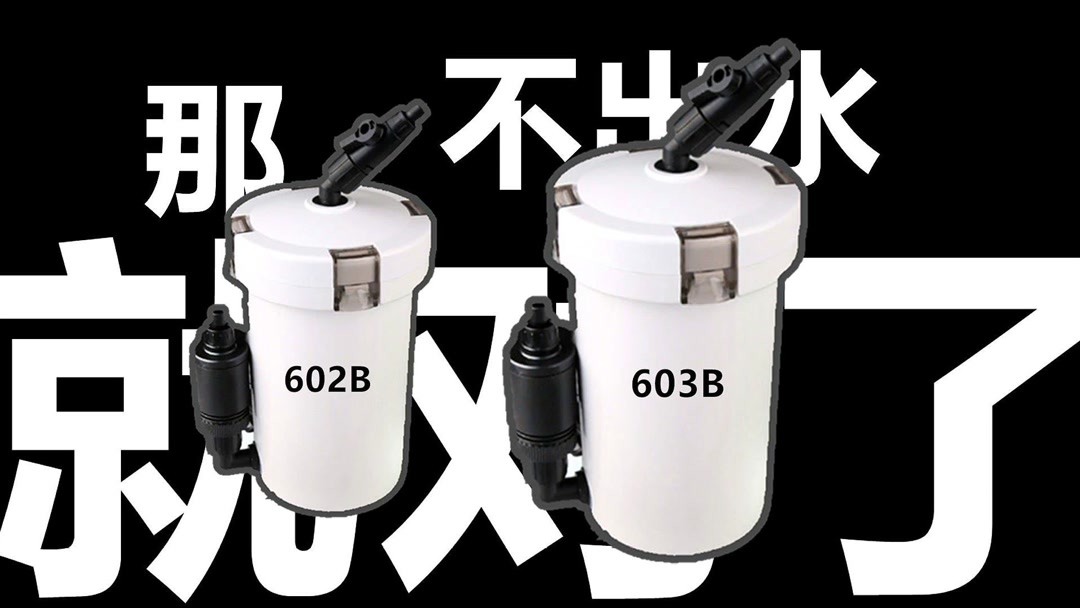论|滤桶咋不出水,养草好几年我都不知道