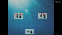 苏教版语文三年级下册《海底世界》教学视频,2016年七彩语文杯第六...