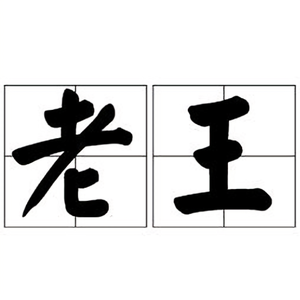 老王爱XX 