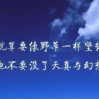 欠缺辰辰辰 