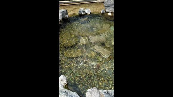 中华民族有很多优秀的传统其中之一勤俭节约是持家过日子的硬道理