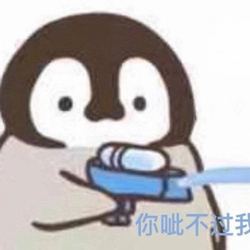 绿皮书蓝皮书红皮书 