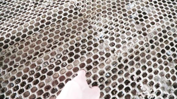 上架养鹅的网眼到底多大合适?看小伙用土办法教你如何量尺寸!