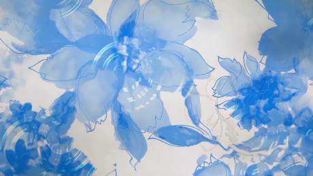 蓝莲花mv 许巍
