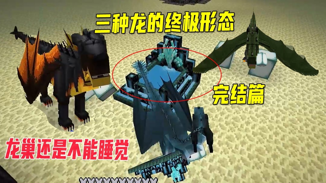 我的世界龙之生存10:见识了三种龙的终极形态,龙巢还是不能睡觉