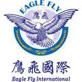 鹰飞国际官方 