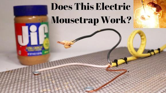 小伙子研制的自动电动捕鼠器到底好不好用?看看实验就知道了!