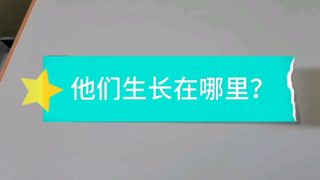 水果和蔬菜是从哪里长出来的