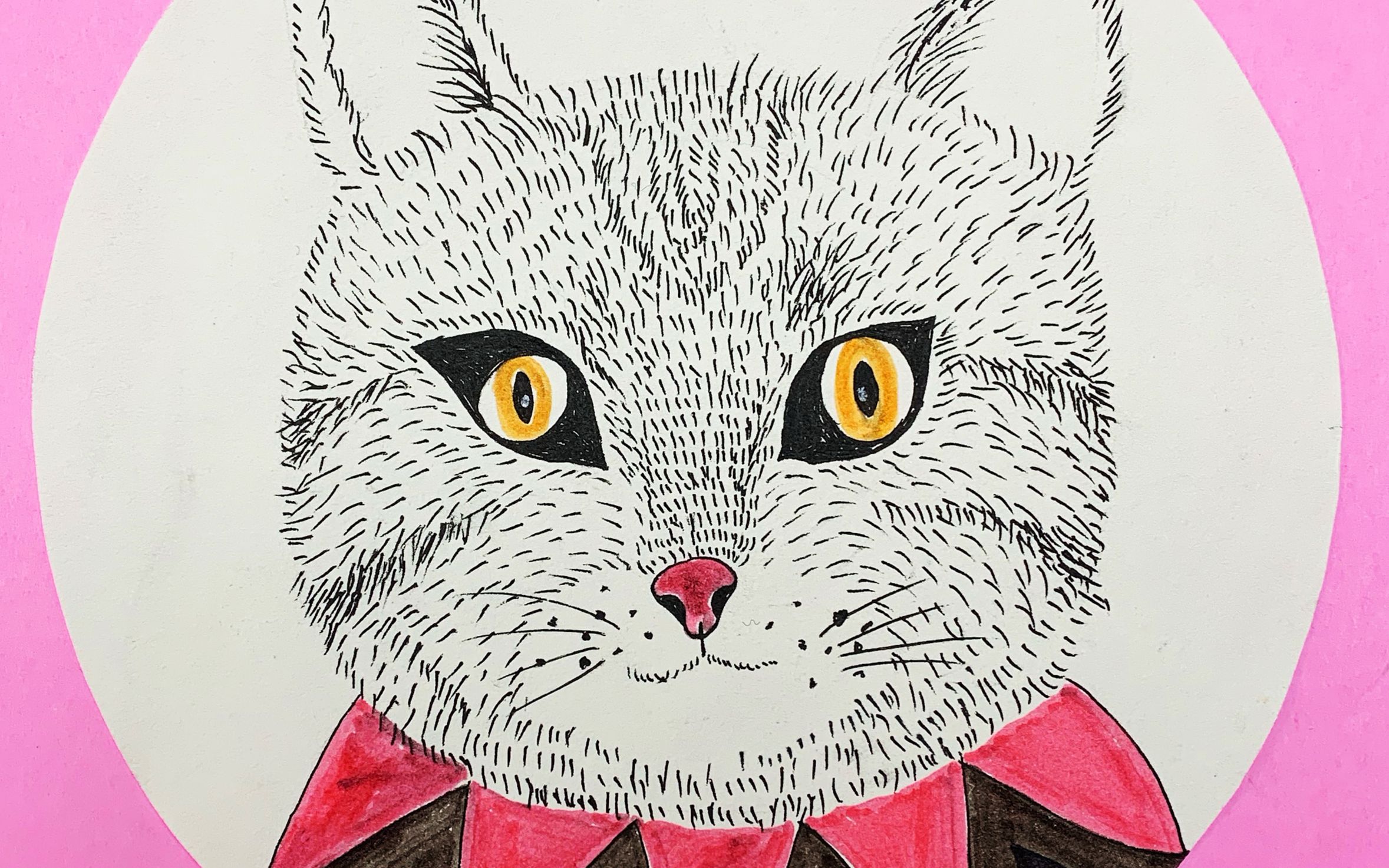 嗨皮一画线上公益课堂——《线条与动物》