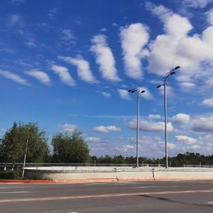 扎根黑土的小水手 