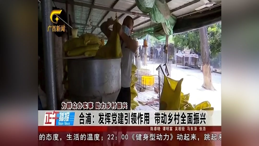 合浦:发挥党建引领作用 带动乡村全面振兴