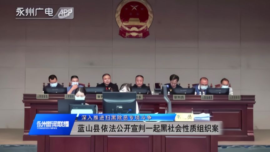 蓝山县依法公开宣判一起黑社会性质组织案