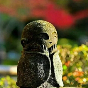 望顶繁花 