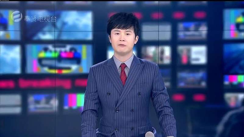 奉贤区代表团认真审议市政府工作报告 审查计划报告和草案、预算...