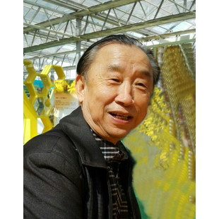 骆驼祥子-老骆工 