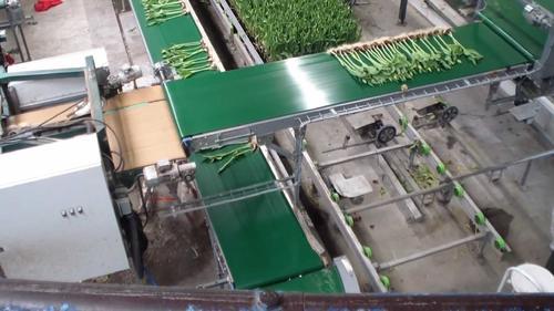 鲜花包装流水线,机械化操作,这效率真高