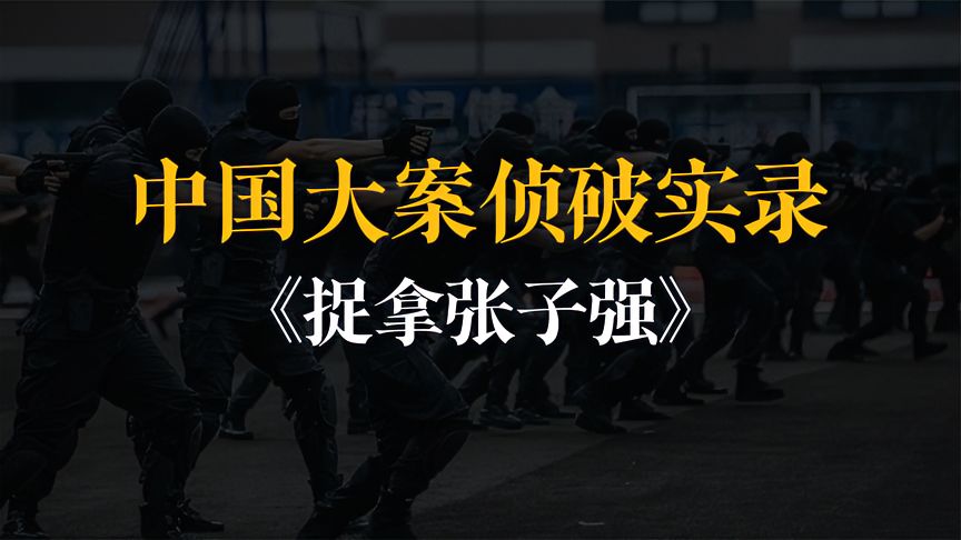 中国大案侦破实录 《捉拿张子强》