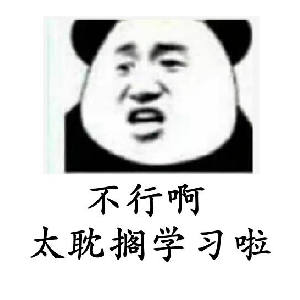 进击的二傻子丫 