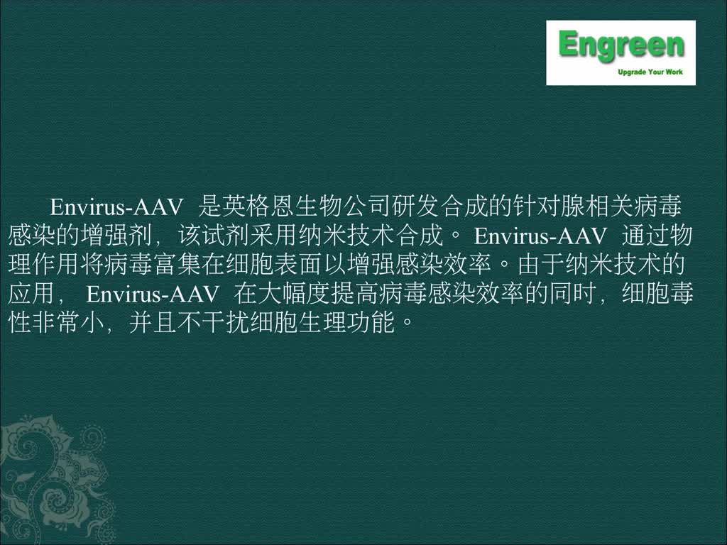 腺相关病毒感染增强剂(Envirus-AdV)实验过程