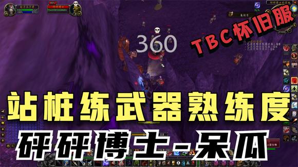 魔兽世界怀旧服:站桩练武器熟练度(砰砰博士)
