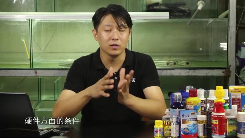 硝化细菌的选择与评测——亮哥养鱼频道
