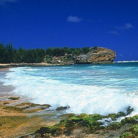 大鱼用户1575342851475730 