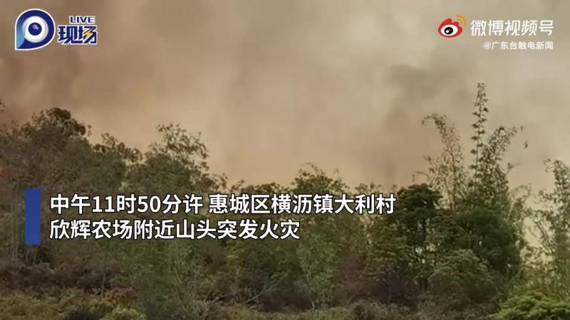 【惠州大利村突发山火,农场工作人员:过火面积近千亩】2021年4月11...