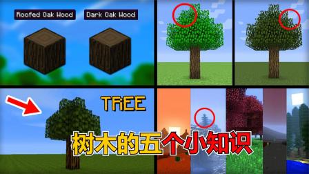 我的世界:关于树木,你不知道的五个冷知识!