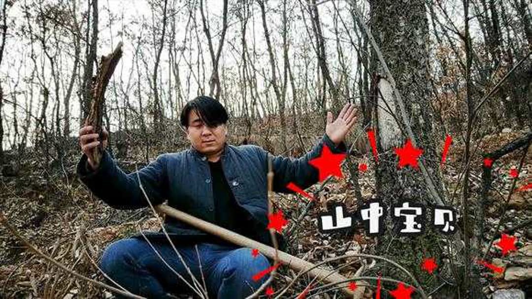 农村山中小小树皮有大作用,在林中看到都忍不住捡回家