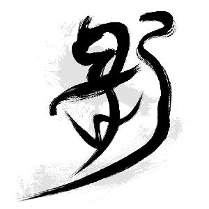 圆Y圆Y 