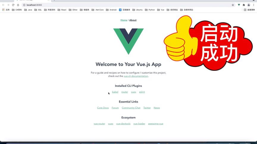 基于npm或cnpm安装依赖并启动Vue项目