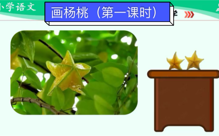 小学语文二年级下册《画杨桃》第一课时