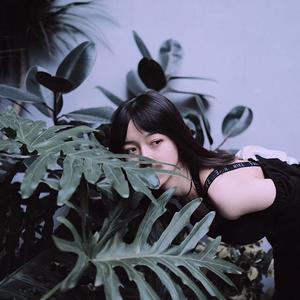 猴哥永远是你哥 