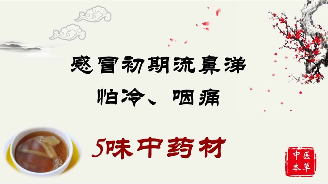 感冒初期,身体发冷、流涕或是咽喉痛,5味中药煮水喝可解表祛邪