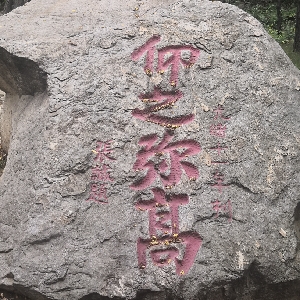 圆周率曲线 