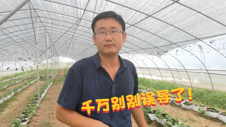 挖个沟就能做无土栽培?农户别被误导了