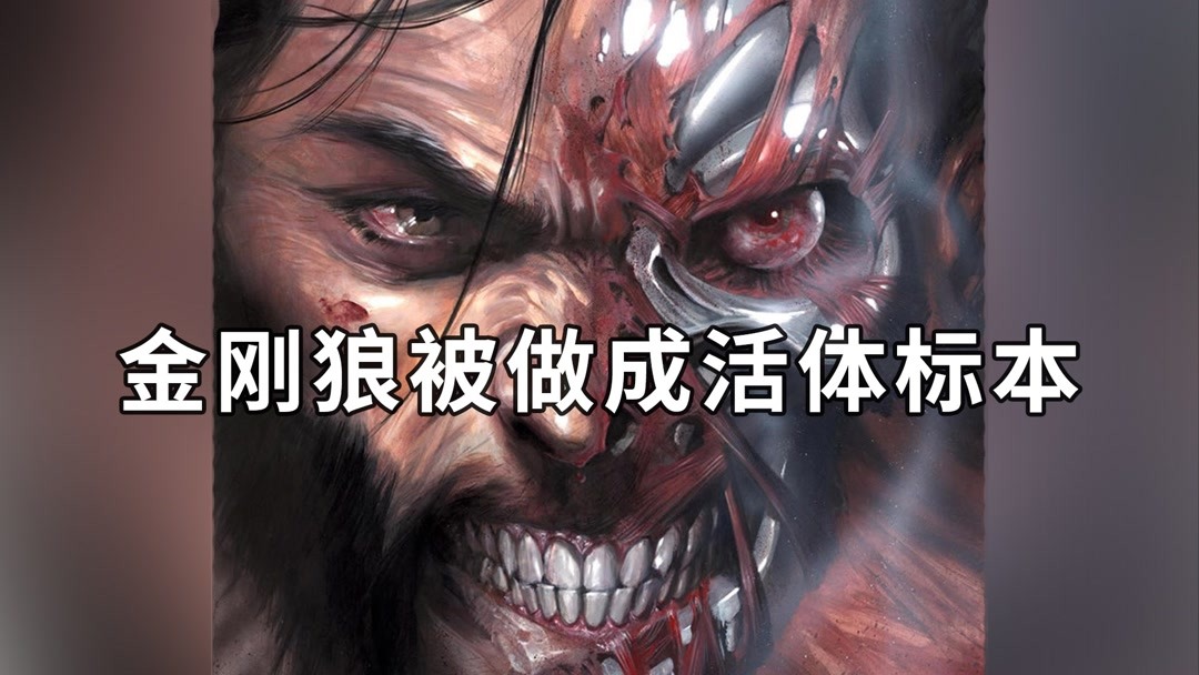 X战警史诗篇章!金刚狼被做成活体标本,万磁王X教授联手建国