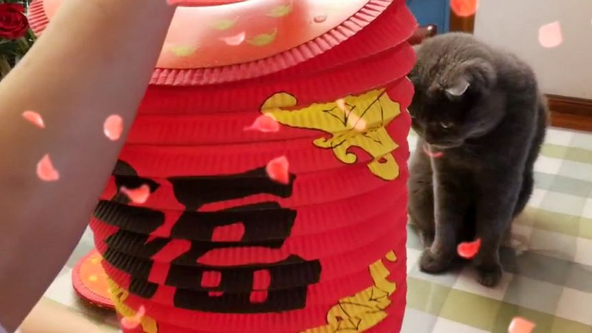 大年初一,拜年啦,願朋友们牛年吉祥如意,心想事成。