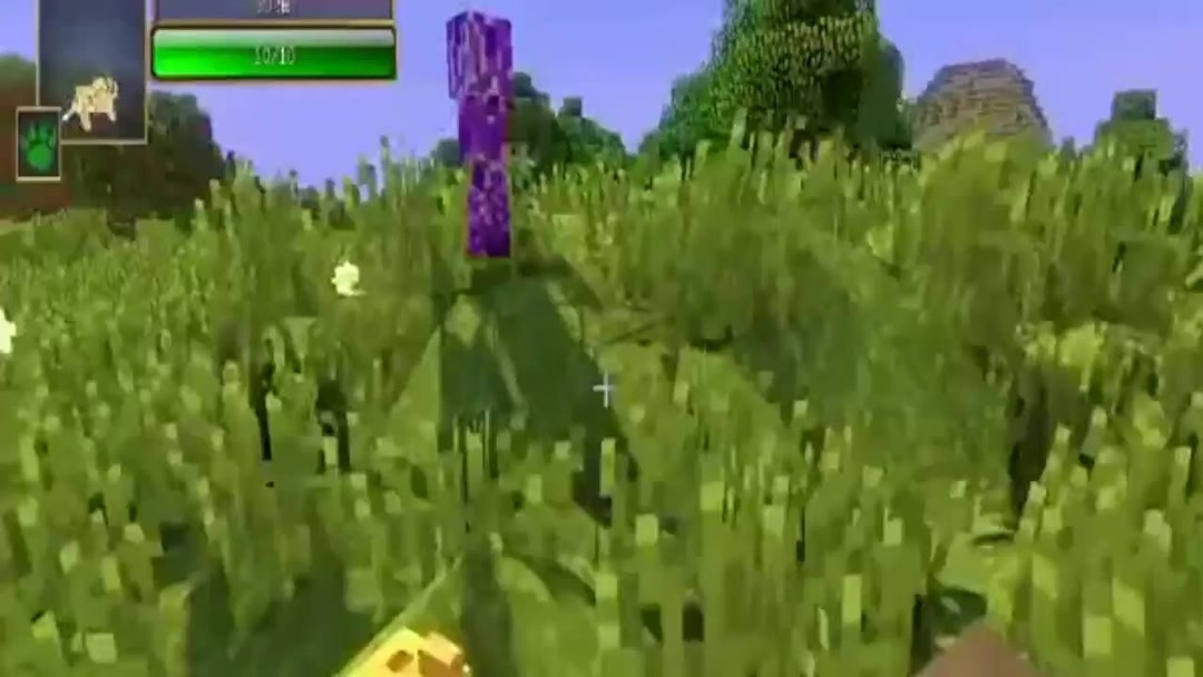 我的世界籽岷的模组介绍 趣味模组合集III