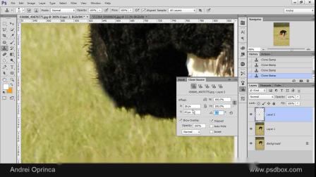 Photoshop中的简单动物变形教程
