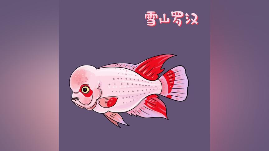 #简笔画教程 #少儿美术 #动物世界 画一条来自东南亚的特种罗汉鱼