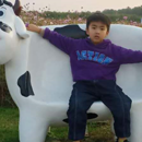 用户@1dc6208402912 