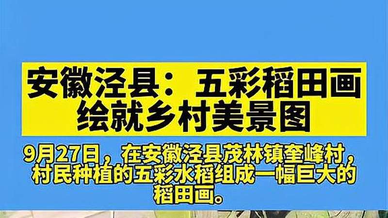 安徽泾县:五彩稻田画,绘就乡村美景图 我在这里祝福祖国
