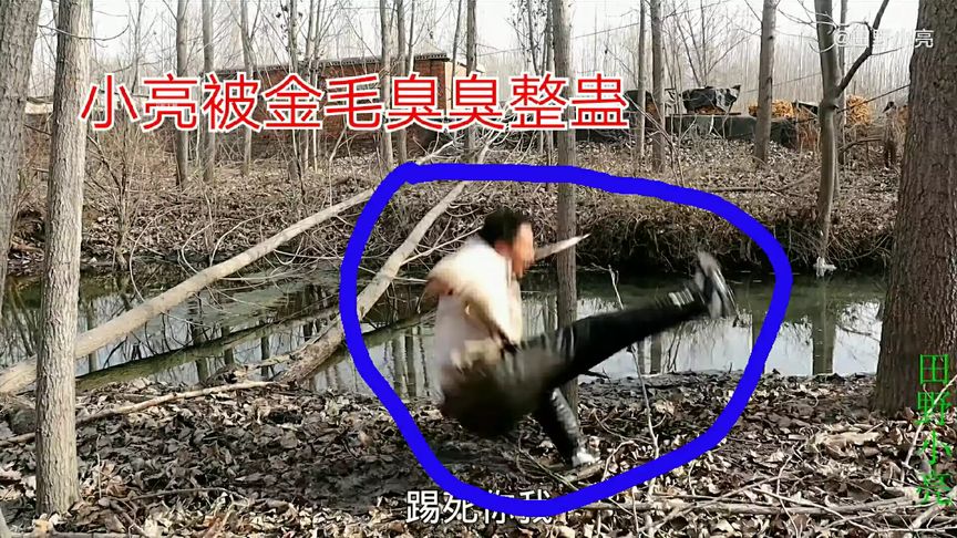 假如金毛臭臭与媳妇联合折磨小亮,小亮会是什么反应?