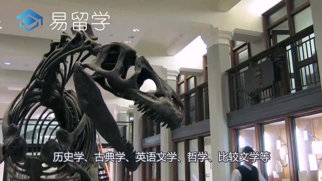 普林斯顿大学介绍