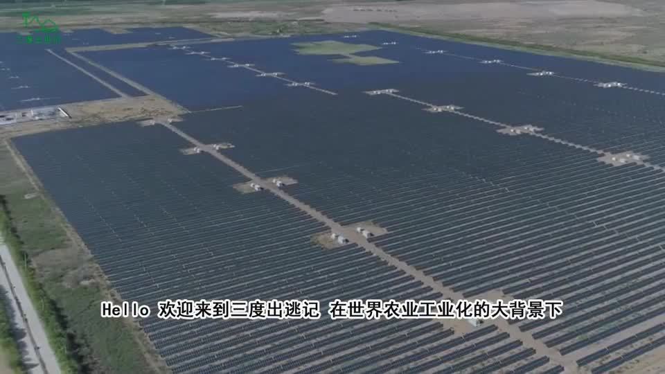 央视传来大消息!新疆沙漠种植"海水稻"成功收割!真是太厉害了