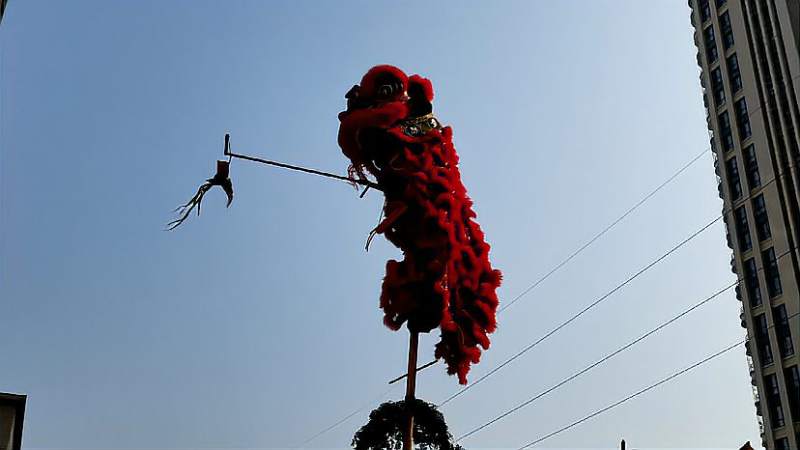 湛江市区商铺开业,醒狮表演摘青,非常精彩