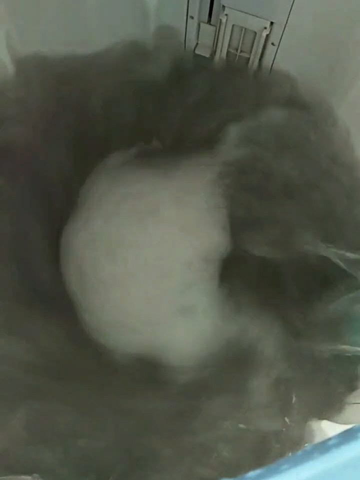 家家户户都用洗衣机洗衣服,加点这些,洗衣服就特别干净