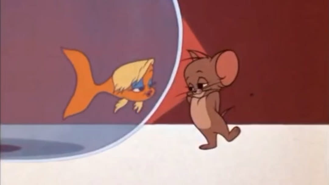 猫和老鼠国语版:鱼缸里的鱼